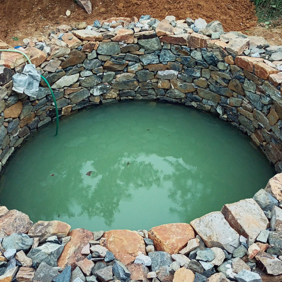 Bunar je bio zatvoren 20 godina – kada su ga otvorili, cijelo naselje ...